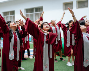 The Canadian International School (CIS)